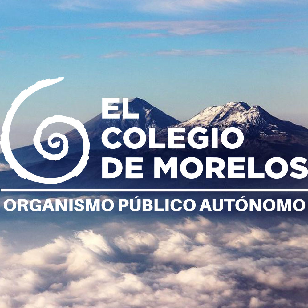 El Colegio de Morelos - Organismo Público Autónomo
